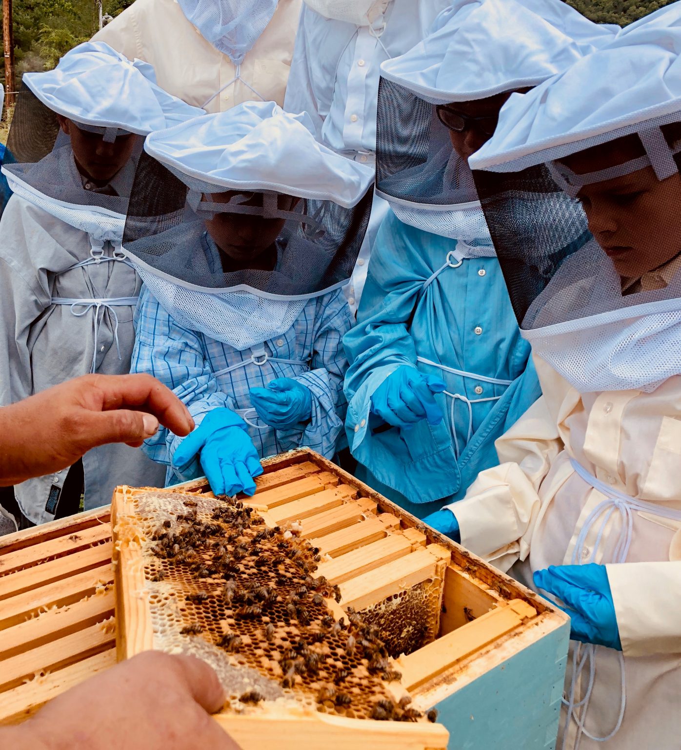 Honeybees Bring Hope to Rural Appalachia - Backyard Beekeeping